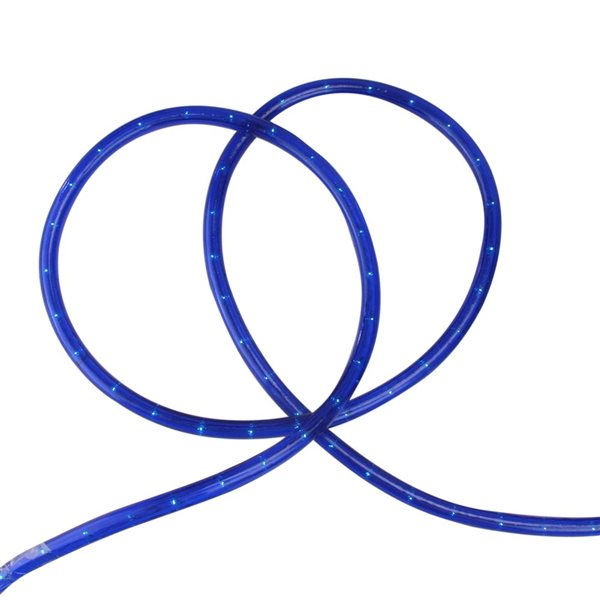 Northlight 100-ft Blue Christmas Rope Lights 34316420 | RONA
