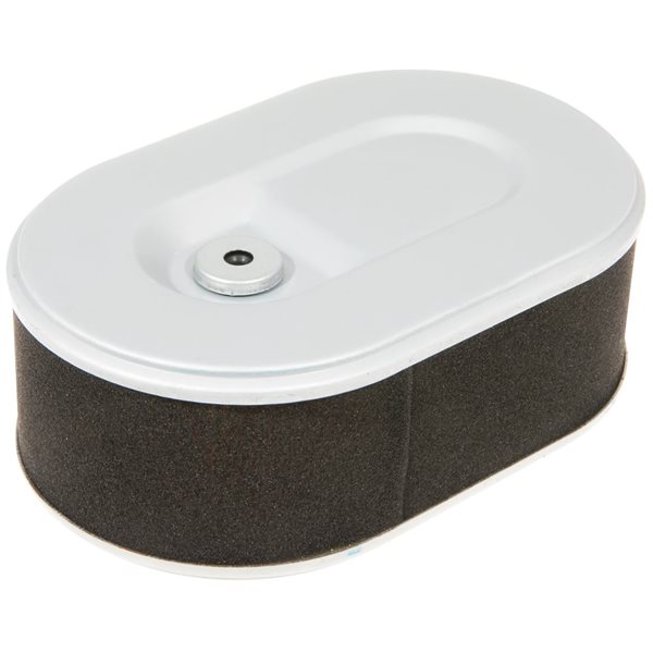 Air Filter with Pre-Filter for CRAFTSMAN Series 679CC CMXGZAM200087 | RONA