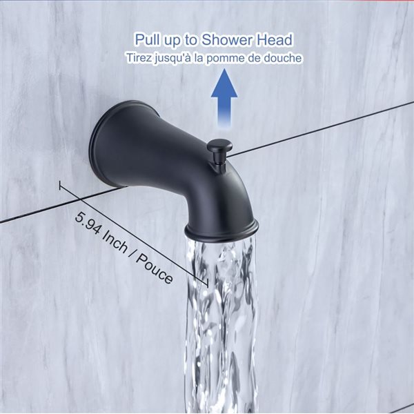 Rainlex 6-in Matte Black Simple Single-Handle 6-Spray Shower Faucet ...