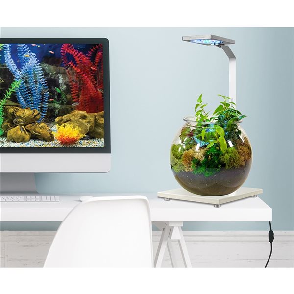 Penn-Plax Echo-Sphere Fishbowl/Planter with Plant Grow LED Lamp PTA4 | RONA