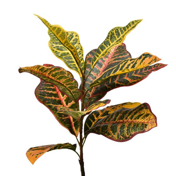 Vickerman 6-ft Potted Artificial Green and Orange Croton Tree TB170672 ...