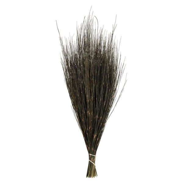 Vickerman 15-20-in Short Stem Natural Bell Grass - Preserved H1BMS000-2 ...