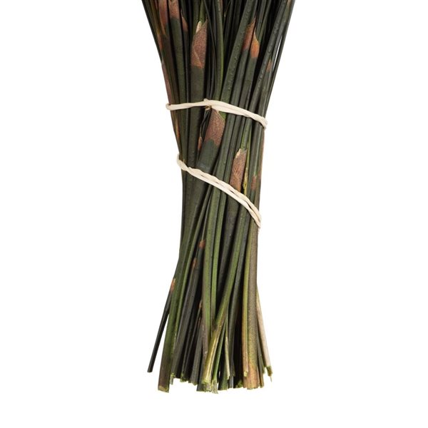 Vickerman 15-20-in Short Stem Natural Bell Grass - Preserved H1BMS000-2 ...
