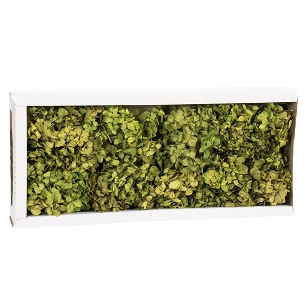 Vickerman 10 x 3 x 21-in Tray Basil Hydrangea Pieces - Preserved ...