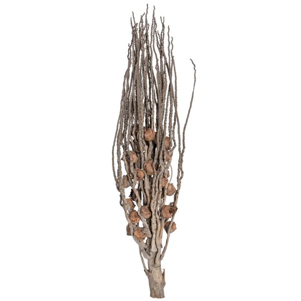 Vickerman Natural Botanicals 32-in Coco Jhar - Natural - 10/Pack ...