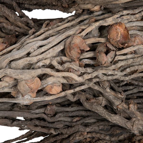 Vickerman Natural Botanicals 32-in Coco Jhar - Natural - 10/Pack ...