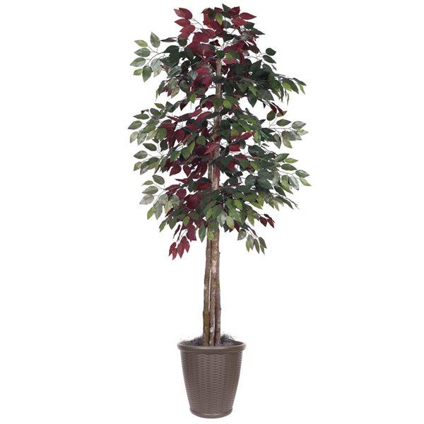 Vickerman 6-ft Artificial Capensia Deluxe Tree in Brown Round Plastic ...