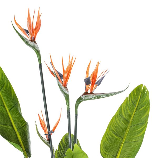 Vickerman 5-ft Artificial Potted Bird of Paradise Palm Tree TB191250 | RONA