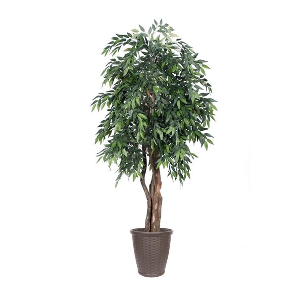 Vickerman 6-ft Artificial Green Smilax Executive Tree in Brown Round ...