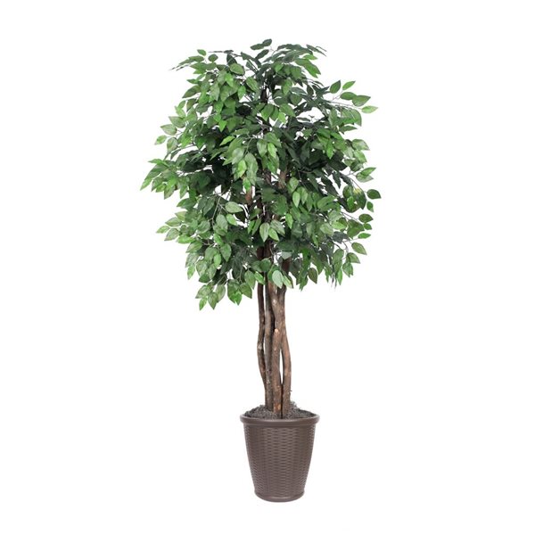 Vickerman 6-ft Artificial Ficus Executive Tree in Brown Round Plastic ...