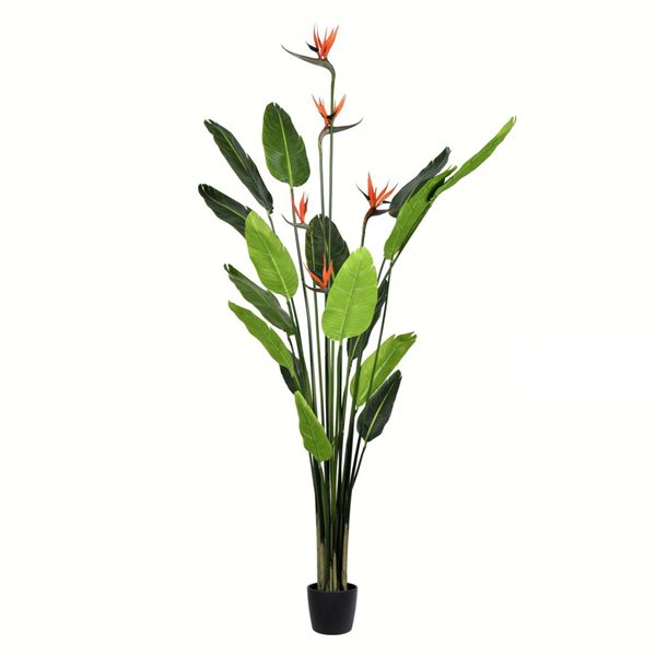 Vickerman 6-ft Artificial Potted Bird of Paradise Palm Tree TB191260 | RONA