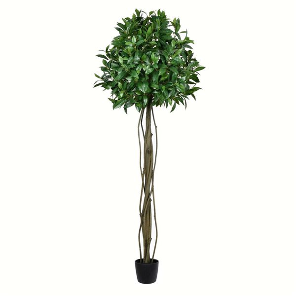 Vickerman 6-ft Artificial Potted Bay Leaf Topiary TB190360 | RONA