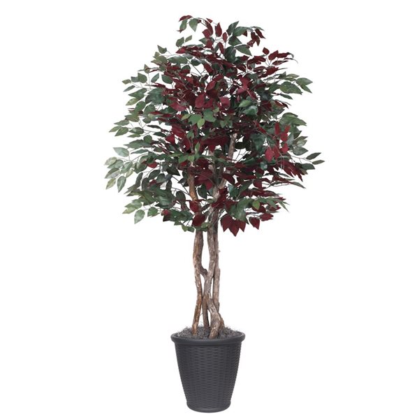Vickerman 6-ft Artificial Capensia Executive Tree in Gray Round Plastic ...