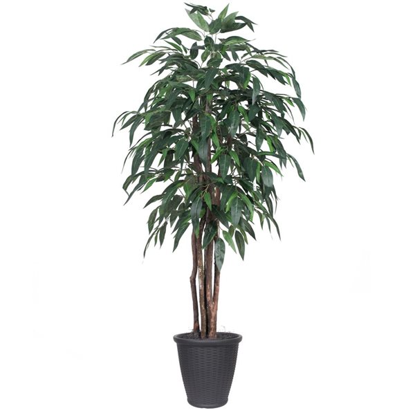Vickerman 6-ft Artificial Mango Executive Tree with Gray Round Plastic ...