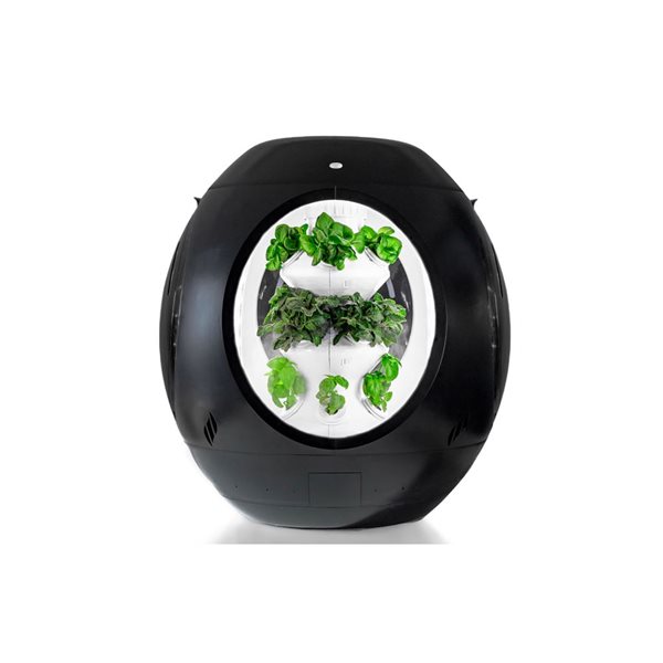 Plantaform Rejuvenate Black Smart Indoor Garden | RONA