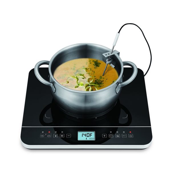 Salton 11-in 1500 W Black Induction Cooktop with Temperature Probe ...
