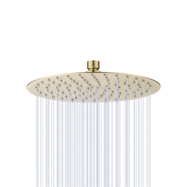 RAINLEX 8-in Round Ultra-Thin Rain Fixed Shower Head in Brushed Gold ...