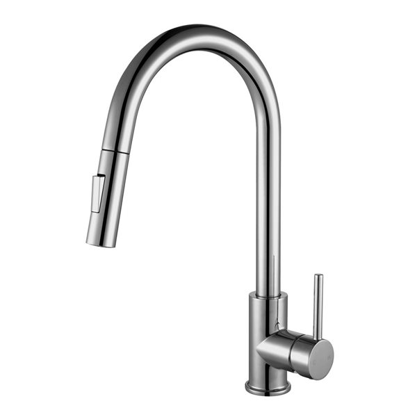 Agua Canada Monroe Chrome Single-Handle Pull Out Dual Sprayer Kitchen ...