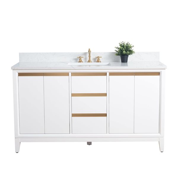 Vanity Art 60 W x 22 D x 34-in H Single Sink Bathroom Vanity w ...