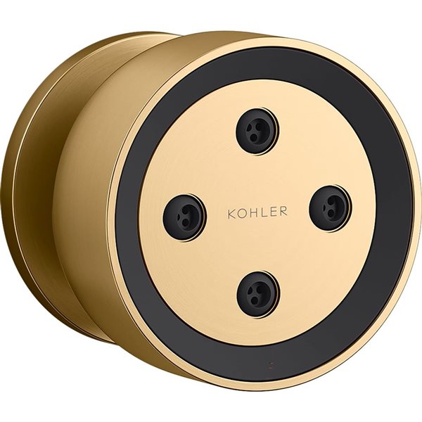 KOHLER Statement Round Brass 1.75-gal/min Single-Function Shower Body ...