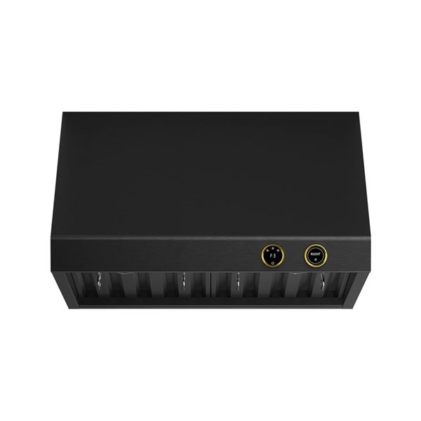 KUCHT Kutch Pro-Style Under Cabinet Range Hood 30-in 900 CFM in ...