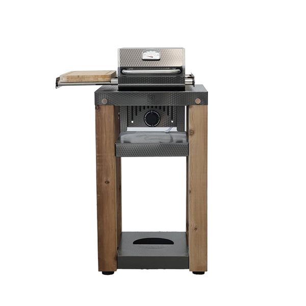 Barbecue au gaz propane 200 de Black Earth acier inoxydable gaufré 16 000 BTU, surface de ...