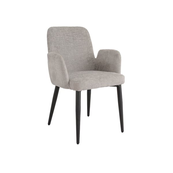 Brassex Allora 2-Piece Dining Chair Set - Grey 26003 | RONA