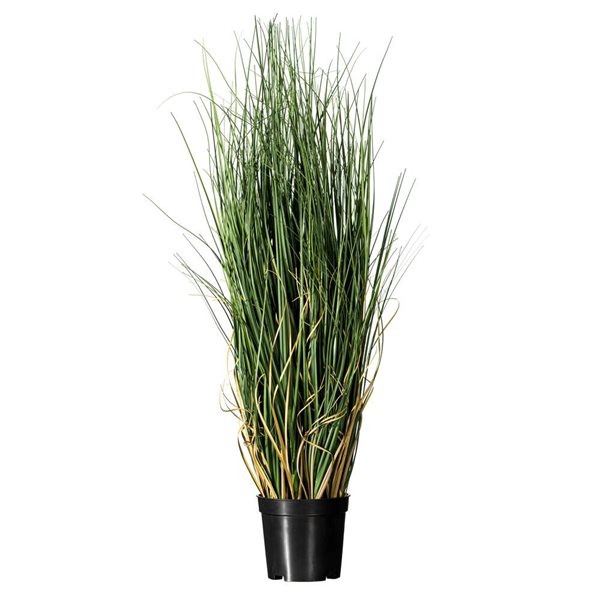 Vickerman 24-in Artificial Potted Green Curled Grass TN170624 | RONA