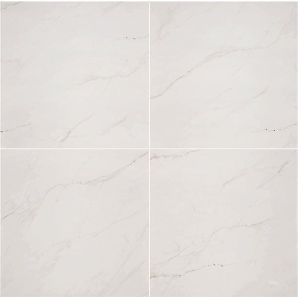 Boîte de 4 carreaux de porcelaine polie Sarola Ackland 24 x 24 po en ...