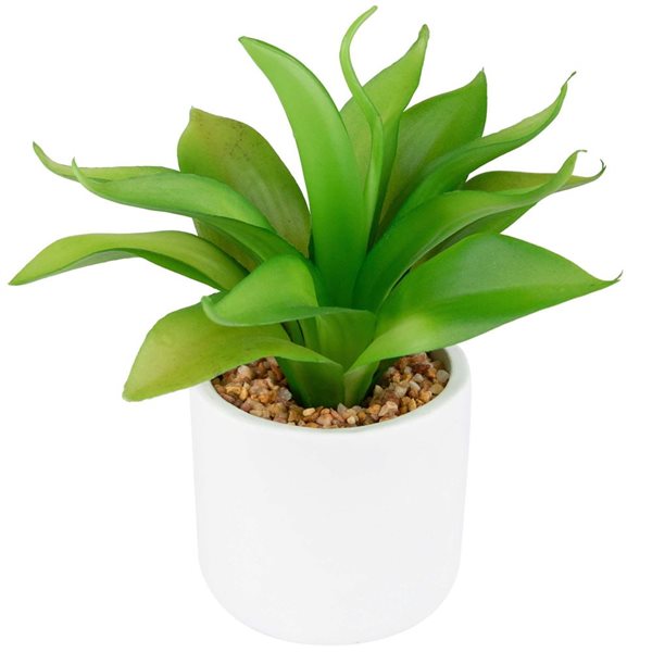 Northlight 8-in Artificial Mini Foxtail Agave Plant - White Pot ...