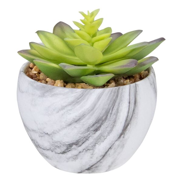 Northlight 4-in Green and Purple Artificial Succulent - Faux Marble Pot 34738354 | RONA
